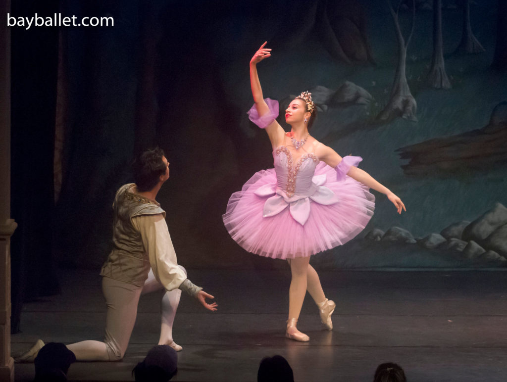 Intermediate Advanced Adult Ballet Class - Ballet San Jose School